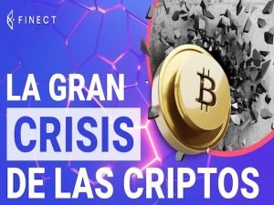 Las monedas cripto y el esquema piramidal de estímulos ‣ En la Búsqueda ...